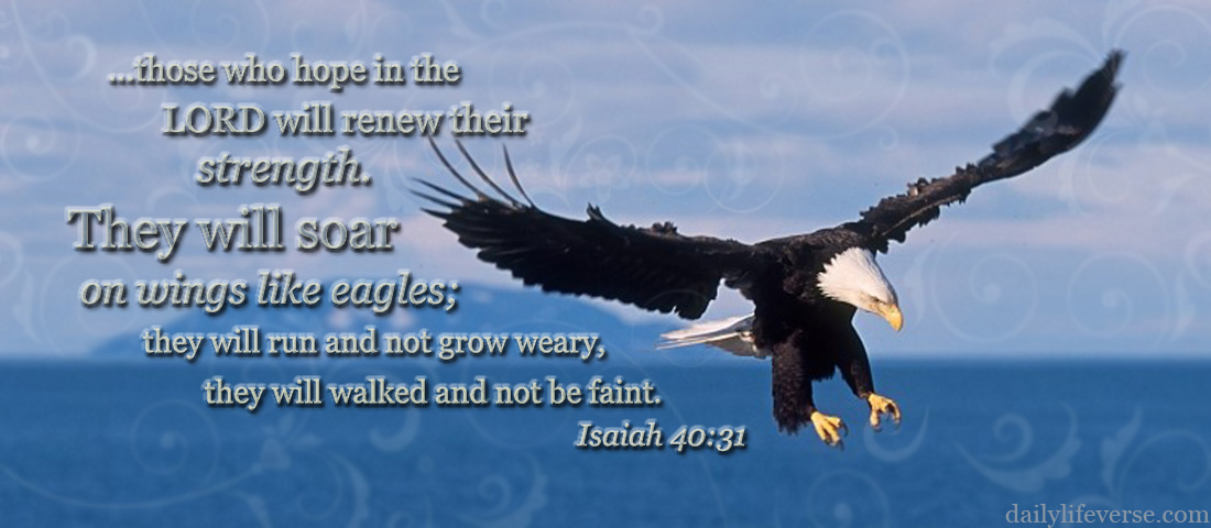 About Us – Aetos Construction